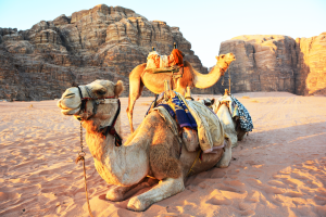 10 Unmissable Jordan Tourist Attractions | Bunnik Tours